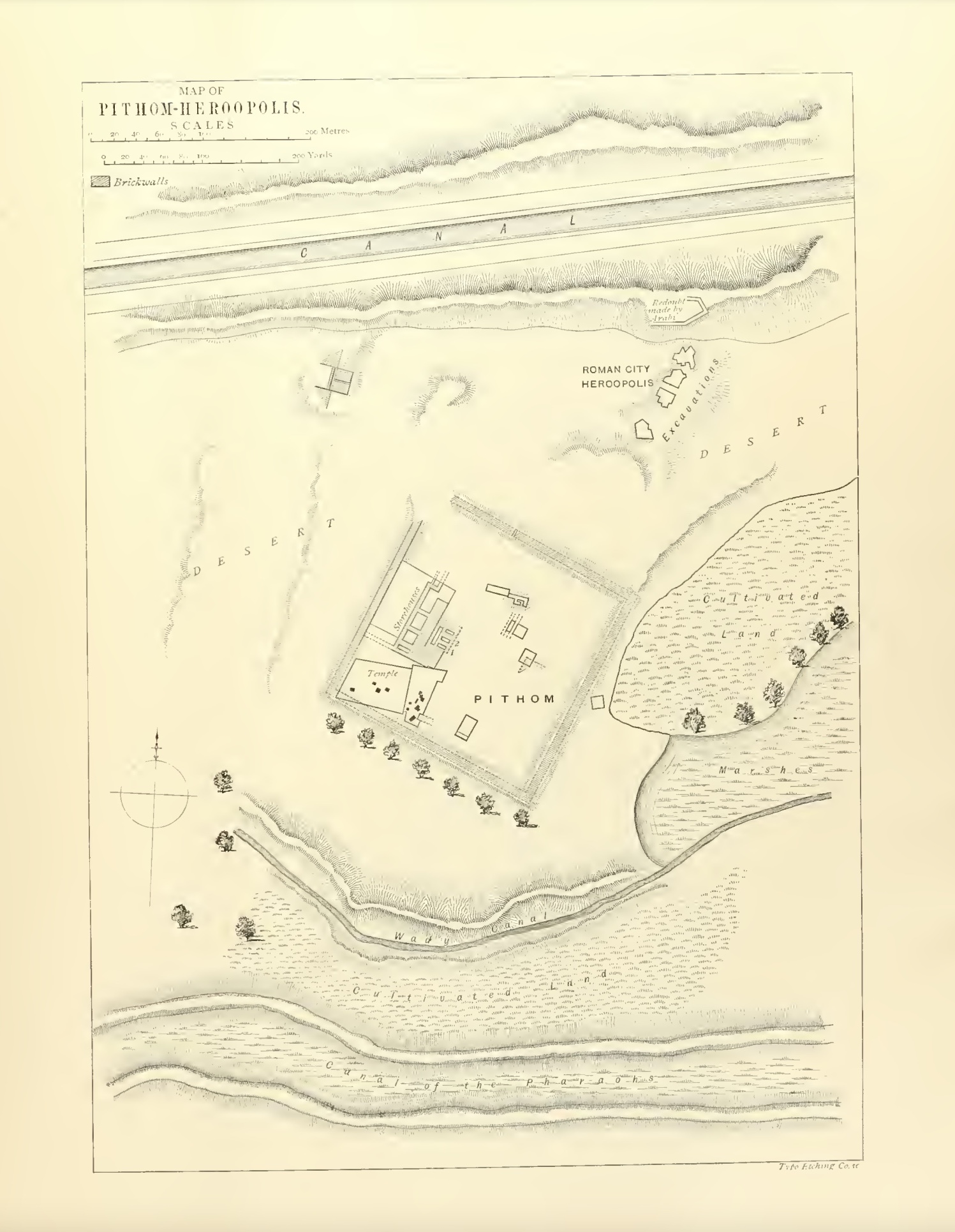Ramsés II no fue el faraón del Éxodo - Amigos de la Egiptología